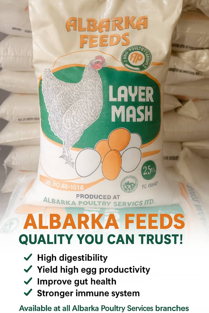 Albarka Poultry